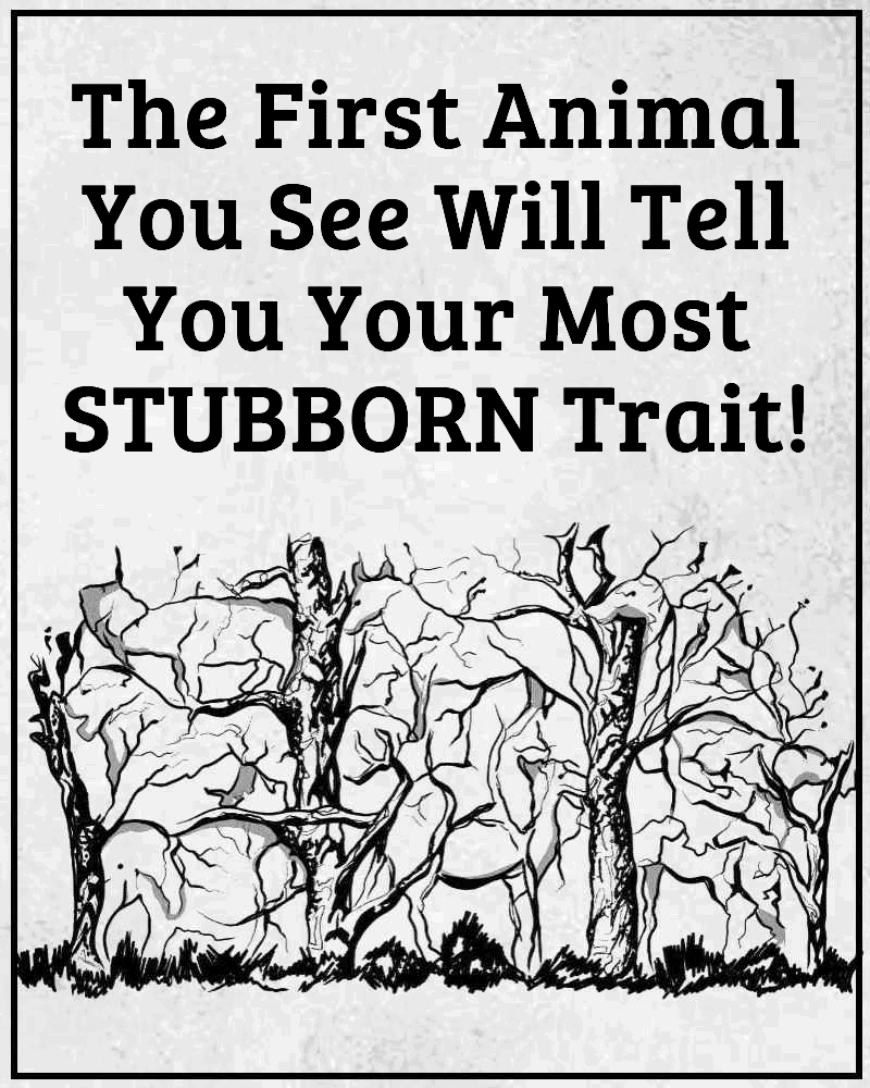 The First Animal You Spot Reveals Your Most Stubborn Personality Trait