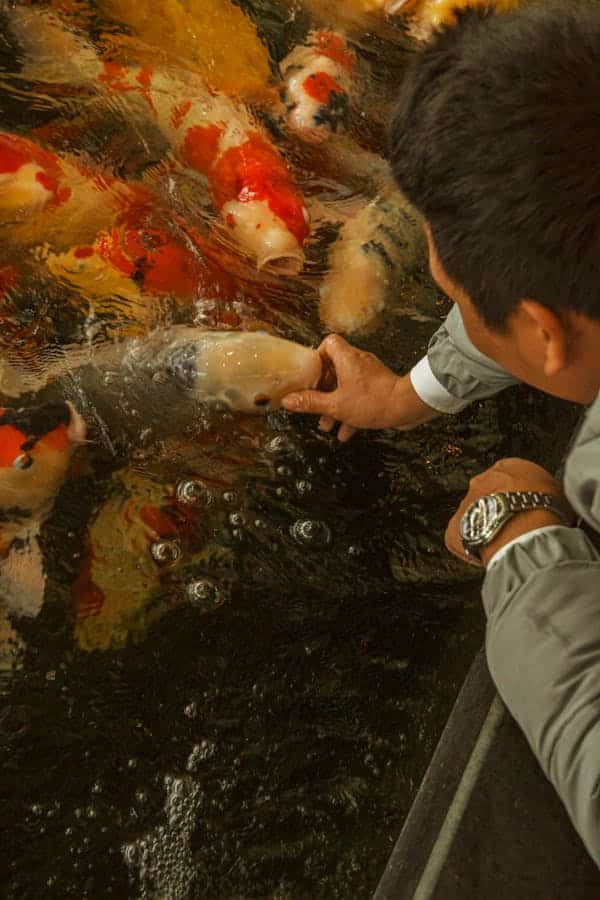 A Single Bite of This Thai Dish Could Lead to Liver Cancer