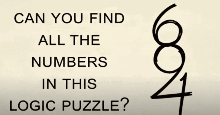 How Many Numbers Can You Spot in This Visual Puzzle?