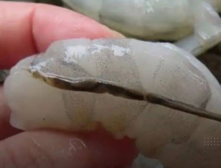 The Truth About Eating the Black Vein in Shrimp Tails